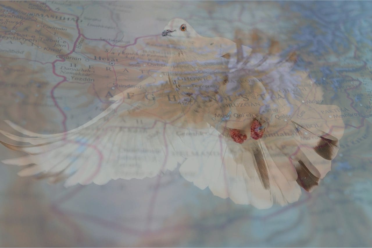 Afghan Peace Process | Beyond the Horizon ISSG